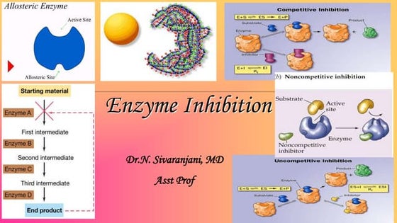 Bisubstrate reactions enzyme kinetics | PPT