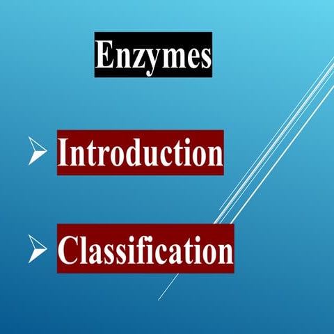 Enzymes introduction and classification.ppt