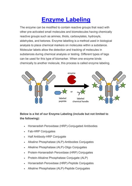 Enzyme labelling | PPT