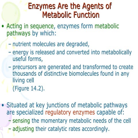 Enzyme | PPT