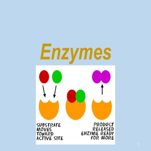Enzymes Topic - Power Point Presentation | PPTX