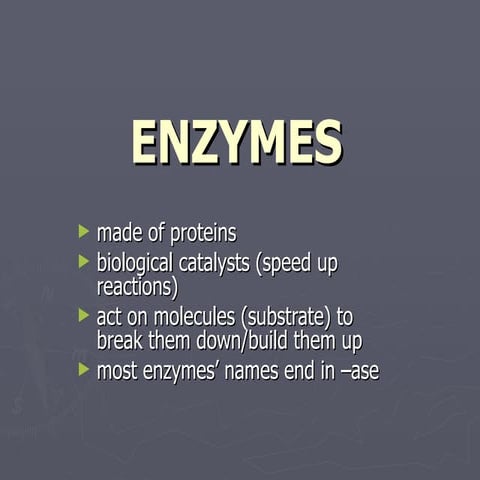 Enzymes | PPT