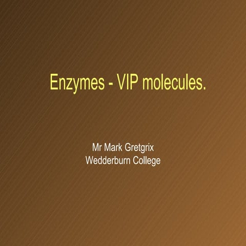 Enzymes | PPT