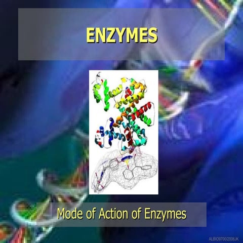 Enzymes | PPT | Chemistry | Science