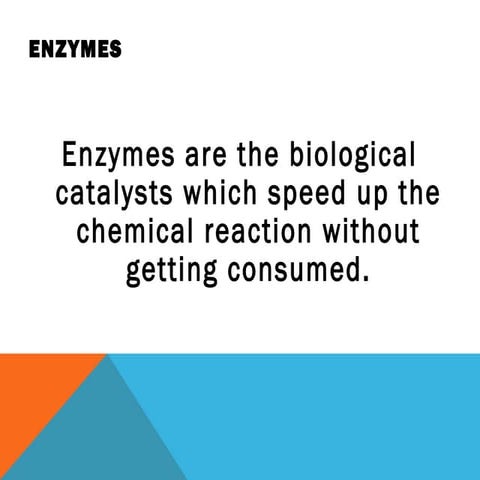 Enzymes | PPT