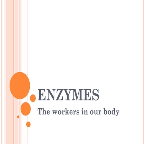 Enzymes | PPTX
