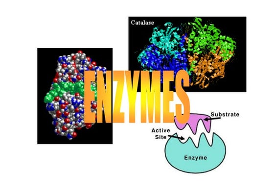 Enzyme inhibitors, reversible_and_irreversible | PPT
