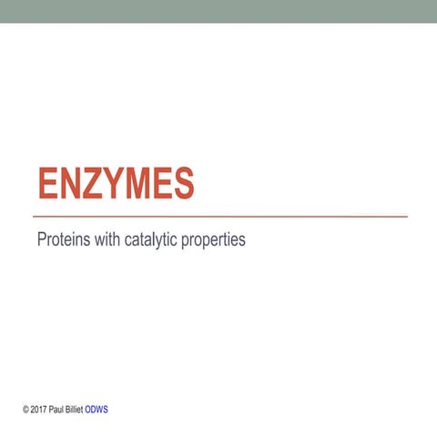 Enzymes | PPT | Free Download
