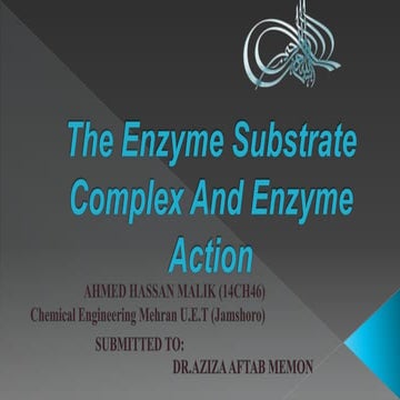 Enzymes | PPTX