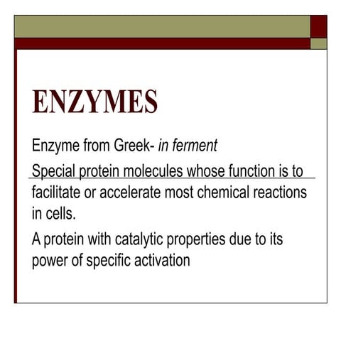 Enzymes | PPT
