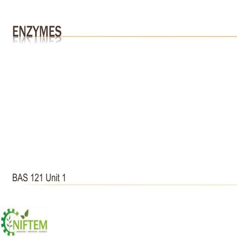 Enzymes | PPT