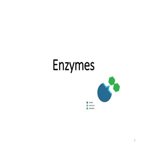 Enzymes | PPT