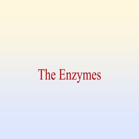 Biochemistry lecture notes enzymes | PDF