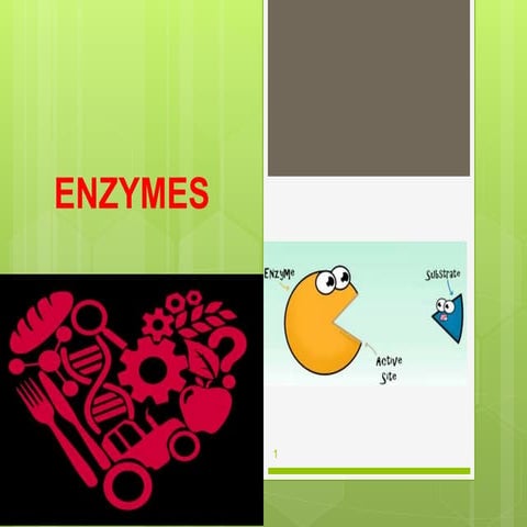ENZYMES.pptx