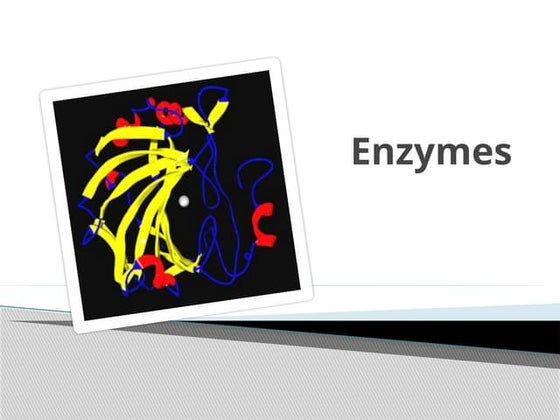 Enzymes(introduction,nomenclature and classification) | PPT