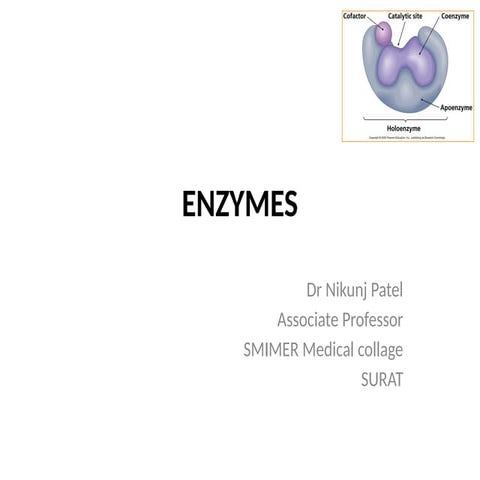 Classification and factors affecting enzyme activity | PPTX