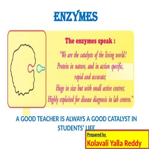 ntroduction, properties, nomenclature and IUB classification of enzymes ...