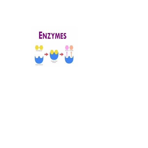Enzymes.ppt/ presentation for public school | PPT