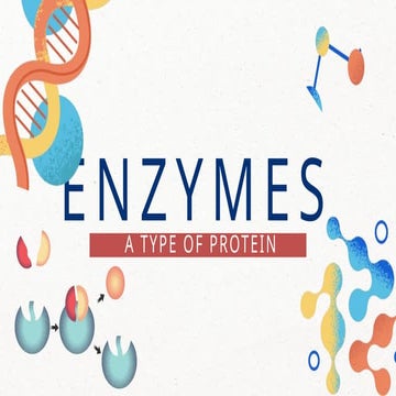 Enzymes- protein- macromolecules-biology.pptx