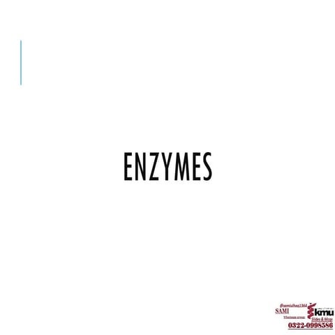 enzymes easy slides notes for students .pptx
