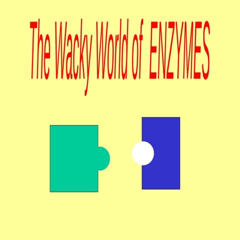 AN Enzymes-pp CSEC BIOLOGY NOTES(1).pptx