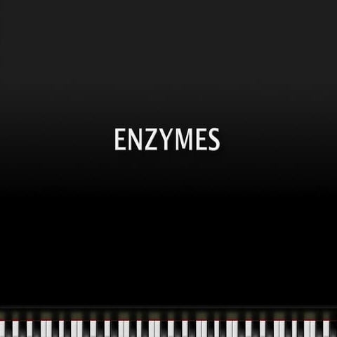 Enzymes IBDP HL | PPT