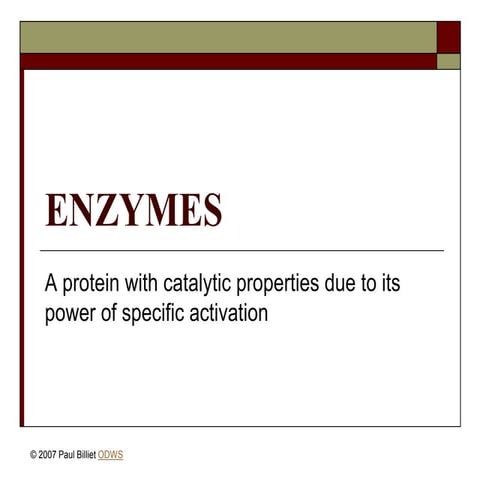 enzymes 1.ppt
