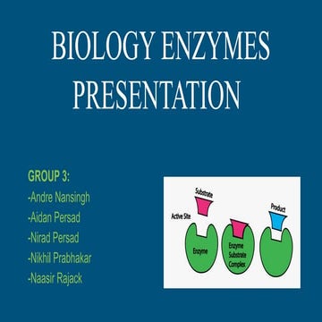 BIOLOGY ENZYME PRESENTATION INCLUDING GRAPHS | PDF