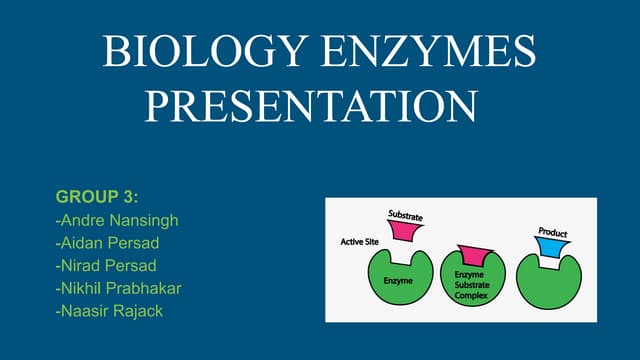Enzyme Catalysis.pptx