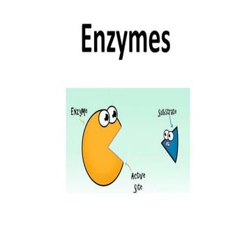 Understanding about Enzyme: Key point notes | PDF