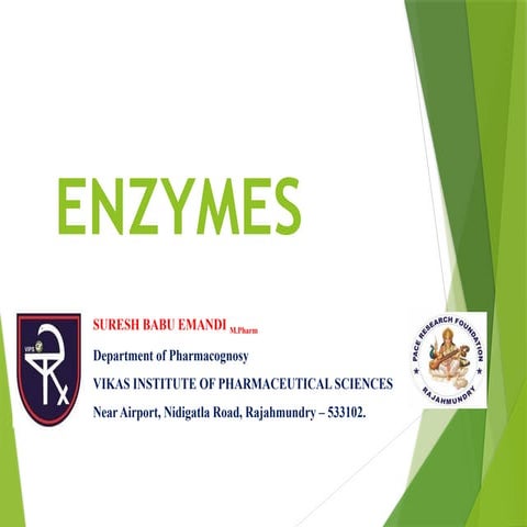 Comprehensive Overview of Enzymes: Properties, Classification, and ...
