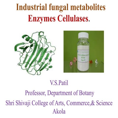Enzymes cellulases | PPTX