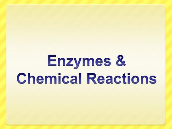 Enzymes Slides For Moodle 2013 Ppt