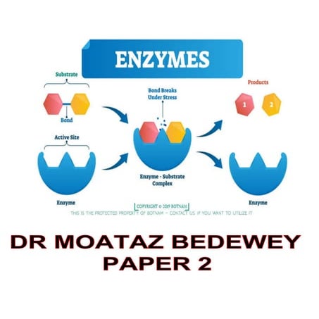 CHAPTER 5 ENZYMES CLASSIFIED PAPER TWO FOR IGCSE STUDENTS | PDF