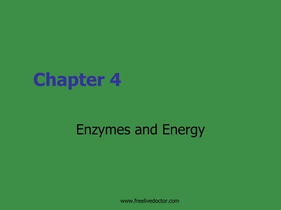Enzymes Slides For Moodle 2013 Ppt