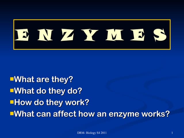 Enzymes | PPT