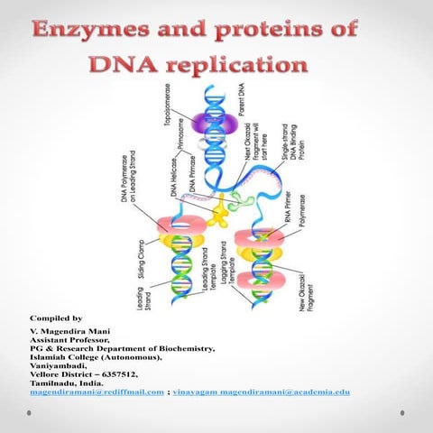 Enzymes of DNA replication | PPTX