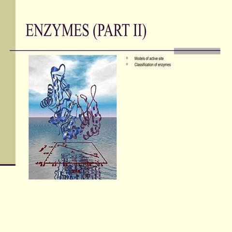 Enzymes Part~2 | PPT