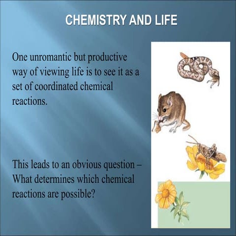 Enzymes Ppt Ppt