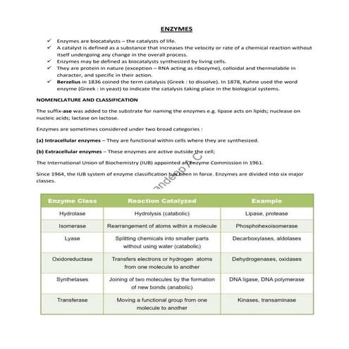 Enzymes notes, enzyme chapter | PDF
