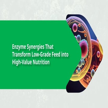 Upgrading feed nutrition using synergistic enzyme solutions | PPTX