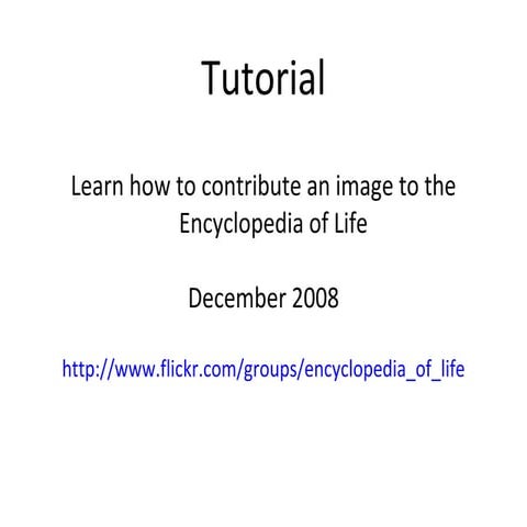 Eol Flickr Tutorial | PPT