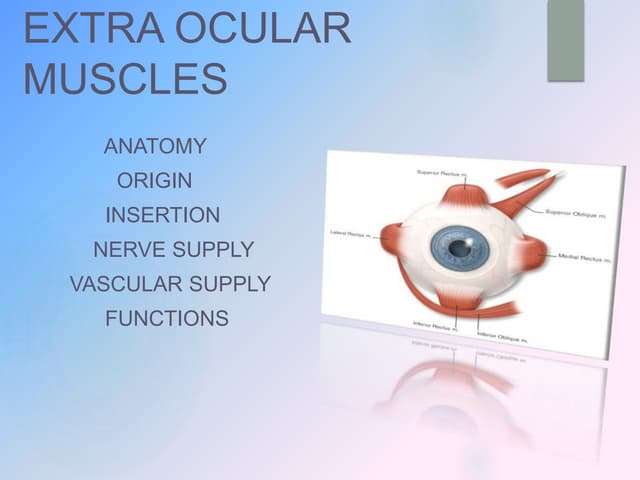 Vertical Strabismus and Cyclo-deviations | PDF