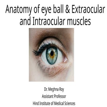 Comprehensive Anatomy and Function of the Eyeball and Ocular Muscles | PPTX