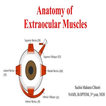Extraocular muscles | PPTX