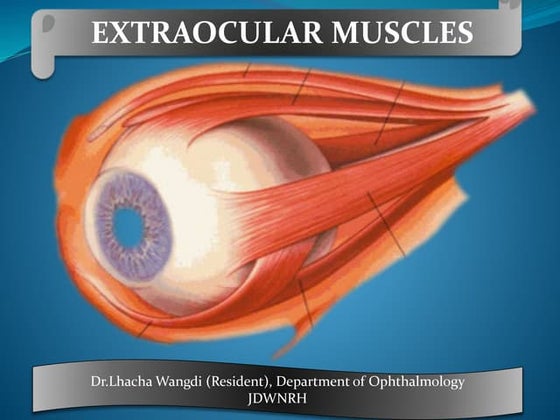 EXTRA OCULAR MUSCLES OF EYE | PPT | Brain and Nervous System Disorders ...