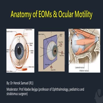 Muscles of the eye | PPTX