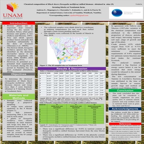 Epafras poster epafras1 | PDF