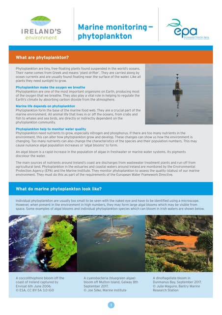 Marine biology | PPTX | Biological Sciences | Science