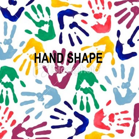 Hand shape | PPT